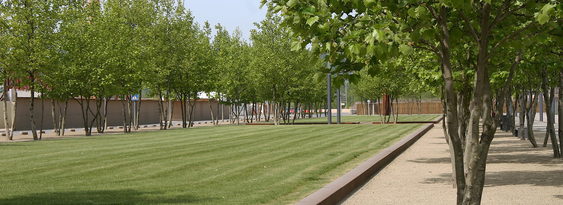 Multi-stem trees: a list of species and characteristics.